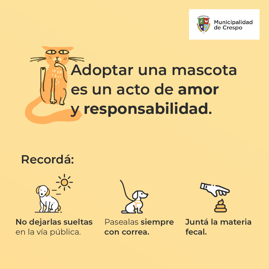 Adoptar Una Mascota Implica Una Responsabilidad Municipalidad De La